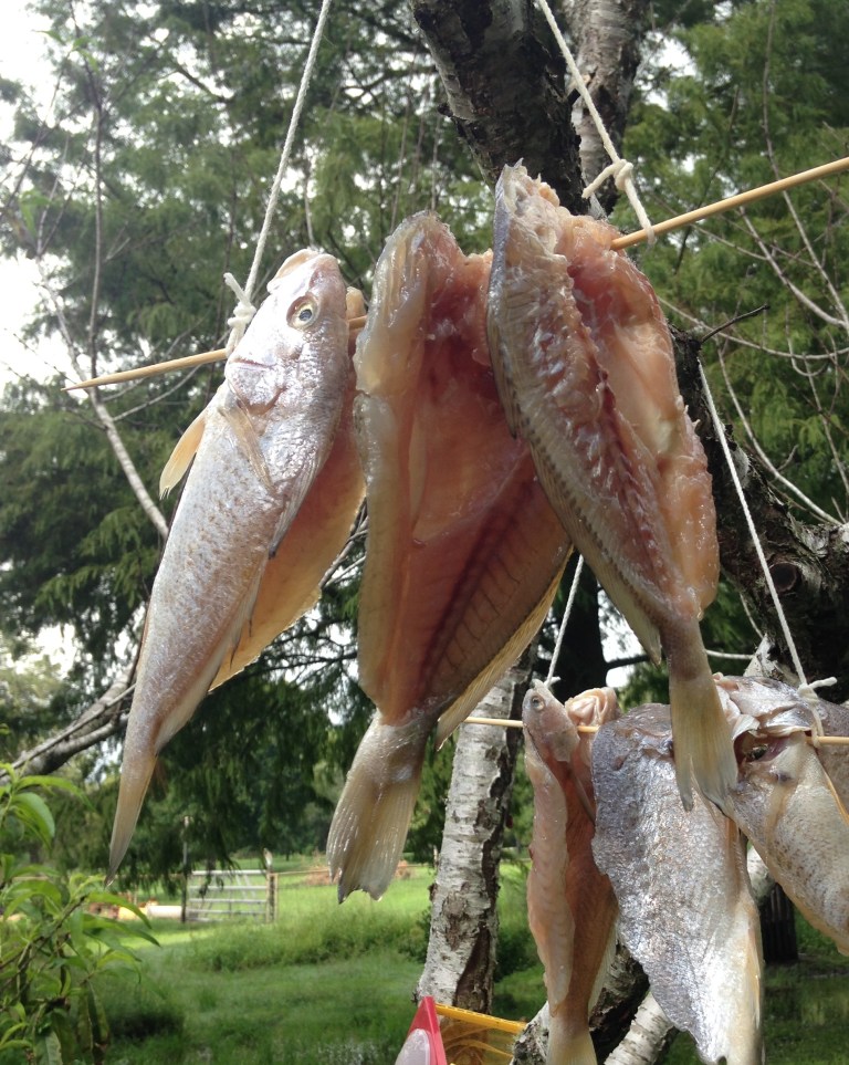 Daing Na Tuyó – Kusina ni Norie